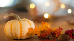November 2022 Specials: Fantastic Fall Specials – Tana's Wellness Spa